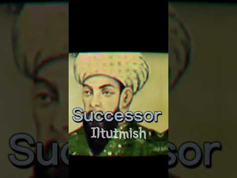 Mamluk Dynasty/Slave Dynasty #history
