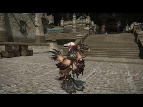 Final Fantasy XIV: A Realm Reborn – Legacy Chocobo is Adorable! | the ...