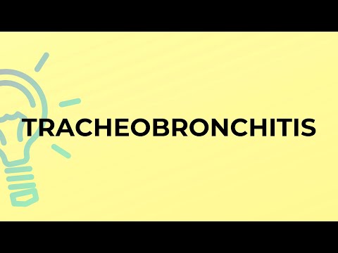 What is the meaning of the word TRACHEOBRONCHITIS?