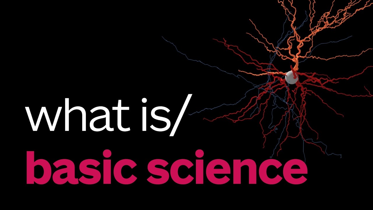 What is basic science and why does it matter?