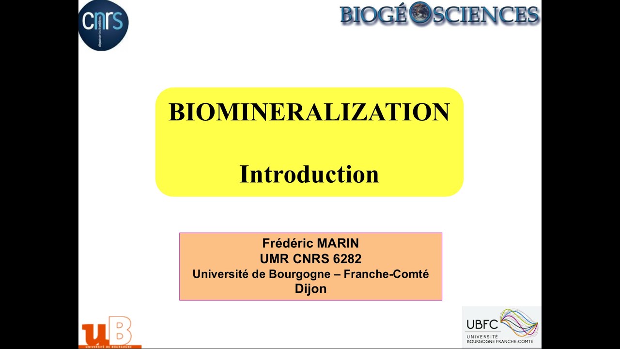 Calcium Carbonate Biomineralizations: Origin, Evolution, Applications