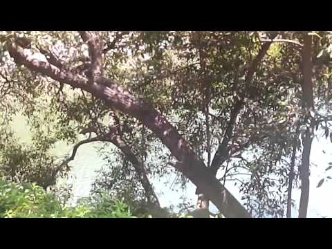 Lake -SEEPZ - Andheri - part 1