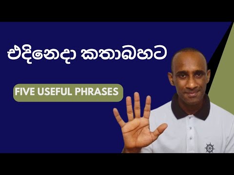 Five Essential Phrases for day-to-day Conversations