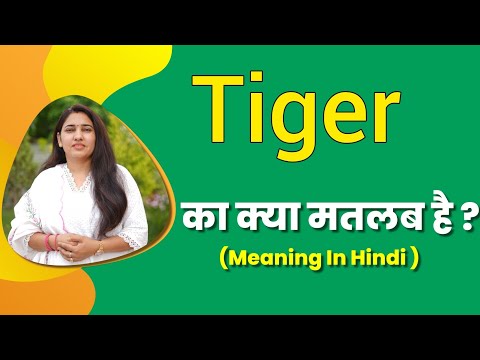 Tiger meaning in hindi | tiger ka matlab kya hota hai | word meaning hindi