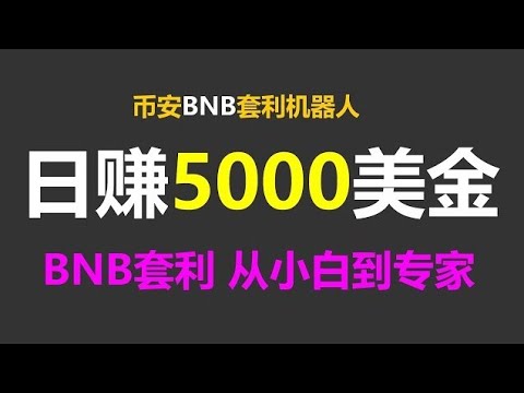 (2024年6月更新)BSC无风险套利机器人实盘教程|无风险套利|日入1000U|抢先交易|免费试用|无人值守|自动搬砖土狗项目量化交易 | 无需下载 无须私钥 轻松搭建 |