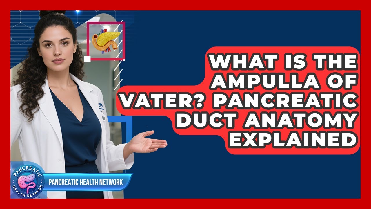 What Is The Ampulla Of Vater? Pancreatic Duct Anatomy Explained - Pancreatic Health Network