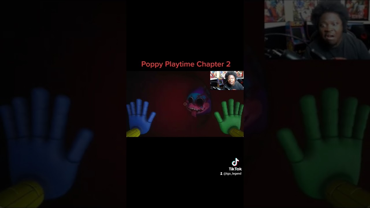 Poppy Playtime Chapter 2 Glitch #poppyplaytime