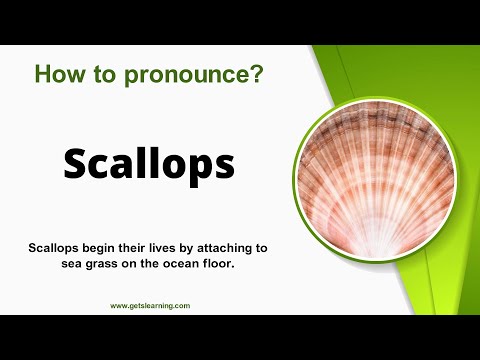 How to pronounce Scallops in English correctly