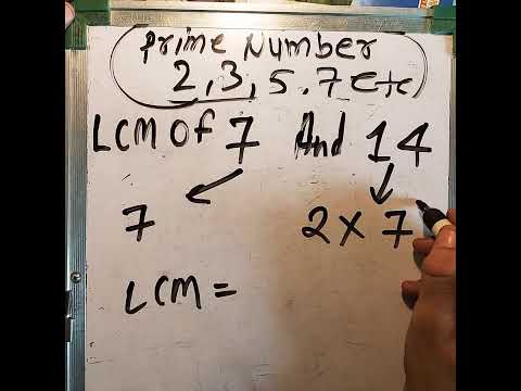 LCM of 7 and 14 In Hindi | Mathematics By SK | Maths