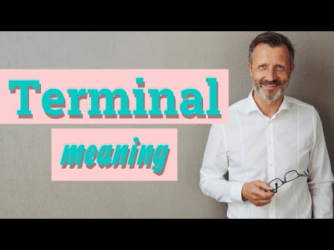 Terminal | Meaning of terminal