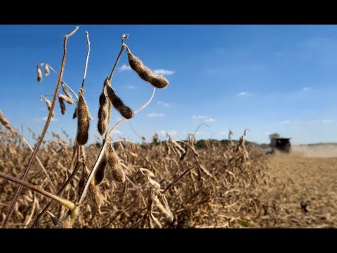 Bailing Out Farmers From Trade War Damages To Cost $6 Billion