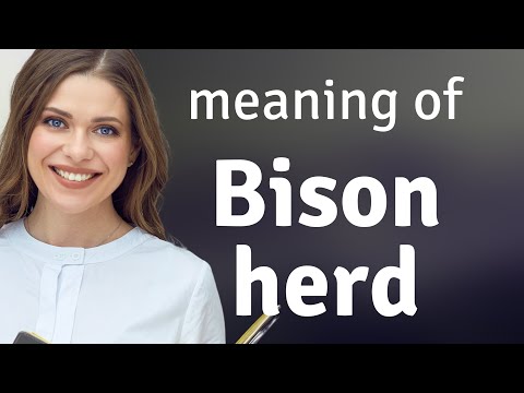 Unlocking Vocabulary: The Phrase "Bison Herd" Explained