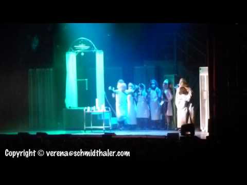 Musical "The Rocky Horror Show" - Part 6 - Sword of Damocles (Linz 2011) HD