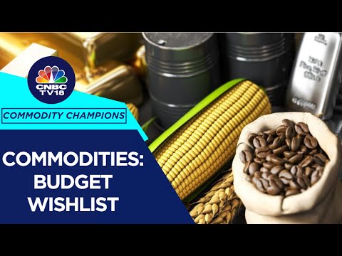 Countdown To Union Budget 2024: What Are Commodity Market's Expectations | CNBC TV18