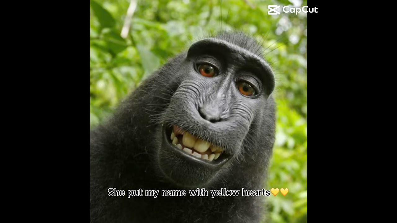 MY BUTT CHEEKS JIGGLE WHEN I FART