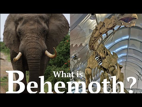 Behemoth is not a Dinosaur