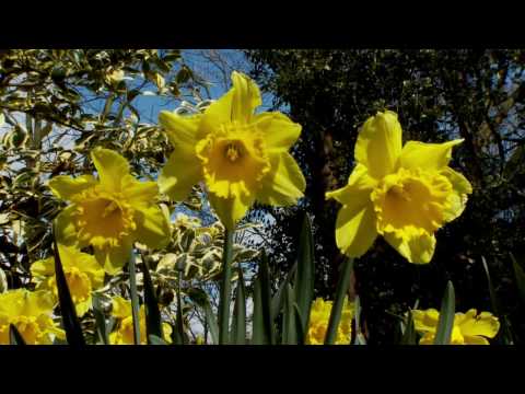 Environmental Biology, Microbiology and Chemistry through Science at UCD