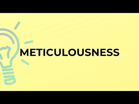 What is the meaning of the word METICULOUSNESS?