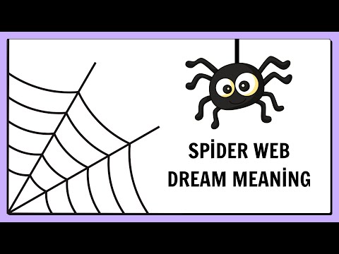 Spider Web Dream Meaning