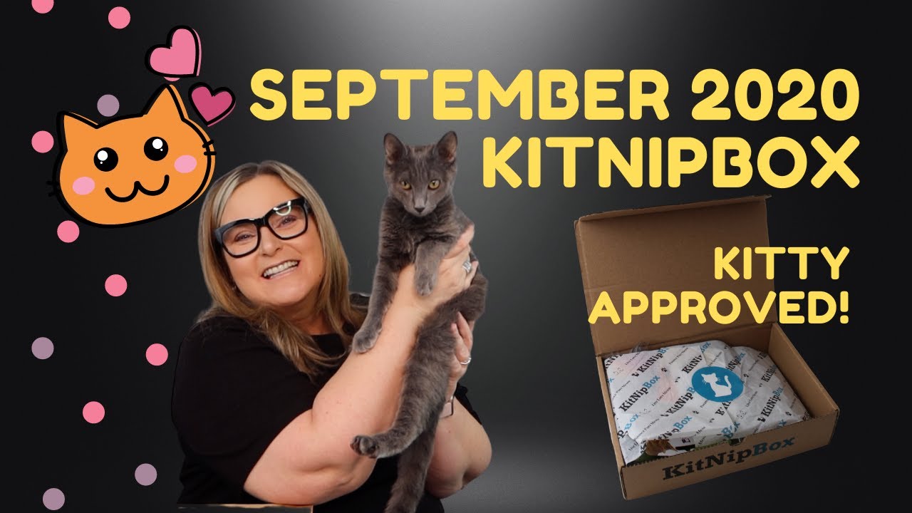 Kitnipbox September 2020