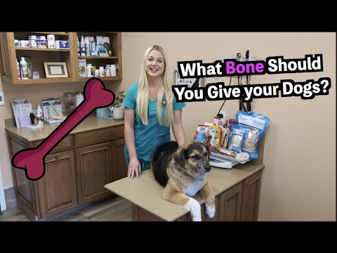 What Bones Can you Give your Dog? | DOG BONES