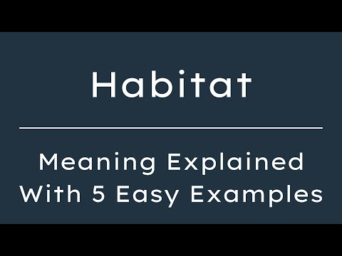 What Does Habitat Mean? Habitat Meaning in English With 5 Example Sentences