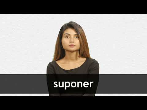 English Translation of “SUPONER” | Collins Spanish-English Dictionary