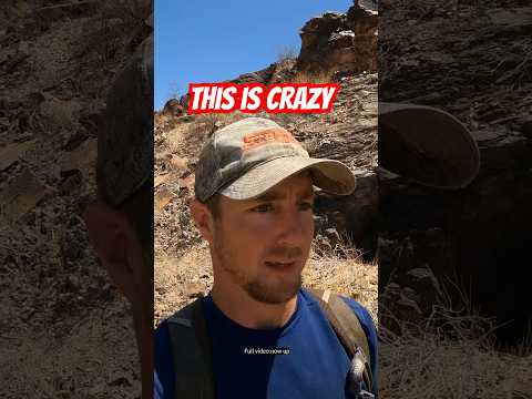 Lost Gold Mine Discovery Found Metal Detecting #shorts