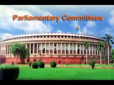 Role of Standing and Select Committees in Parliamentary Democracy