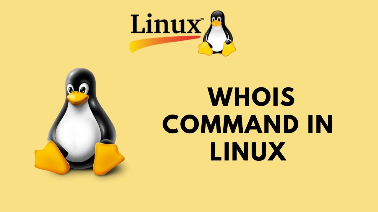 Linux Command Line Basics Tutorials - whois command in Linux