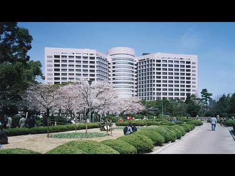 Top 10 Best Universities In Japan (2020)