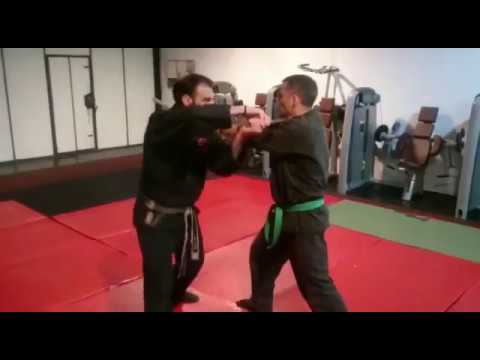 Kodachi – Kukishinden Ryu – Bushi Dojo