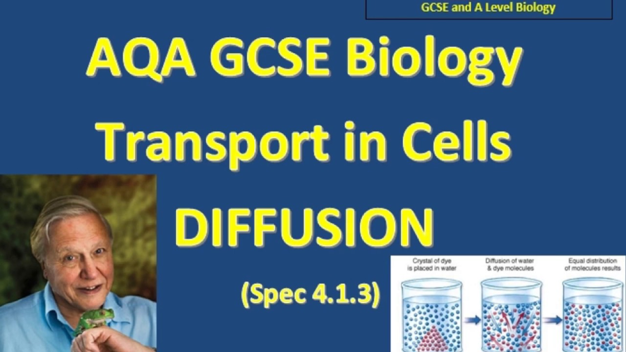 Diffusion Revision - GCSE Biology/GCSE Combined Science