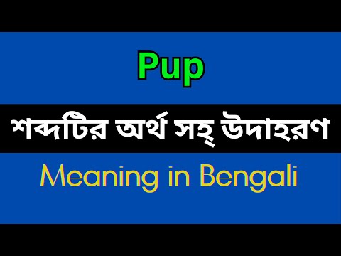 Pup Meaning in Bengali/Pup Mane Ki, Pup Explain in Bengali