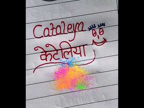 Cataleya name #hindi #shorts #youtubeshorts