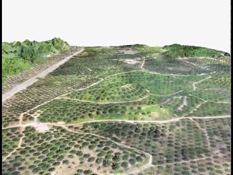 3D Model of Oil Palm Landscape created with Drone Imagery