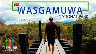 10 Things to Do in Wasgamuwa National Park, Matale Sri Lanka | Gems.Travel