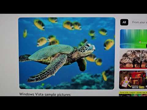 Windows Vista Sample Pictures