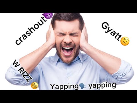 SLANGS WORDS THAT GOR OVERUSED BY TIKTOK KIDS