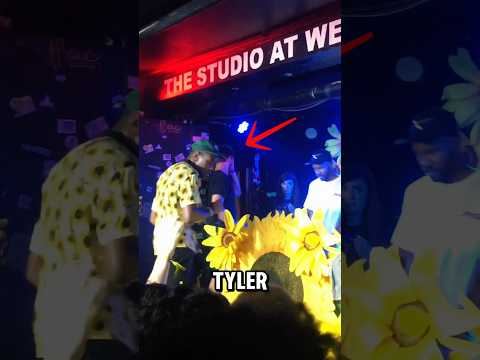 The HIDDEN meaning in Tyler the Creator albums😱