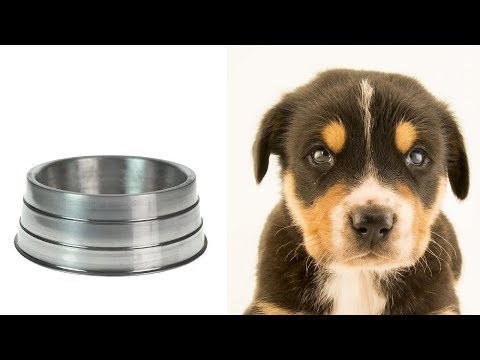 Vasilha Aluminio Cachorro Excelente Qualidade Pesado Pote | Mercado Livre