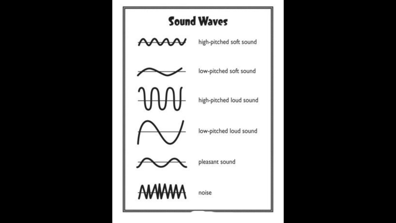 Types of Sound Waves 🌊 #physics #learning #study #wavesounds