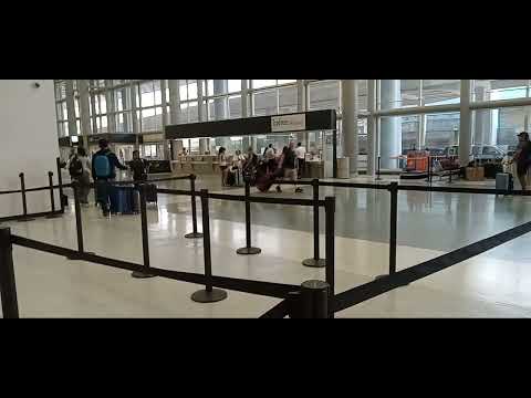 George Bush Intercontinental Airport IAH Houston Terminal D