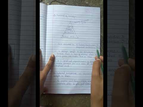 Ecosystems and Energy Flow, Class -12 th