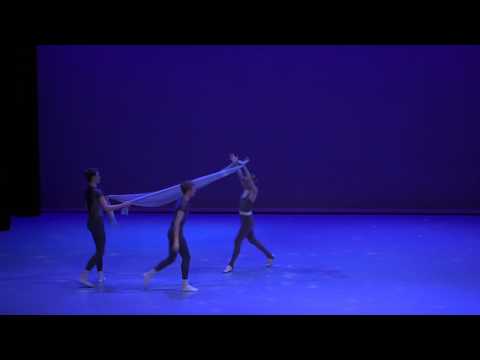 Dallas Ballet Company performs Living Sculpture