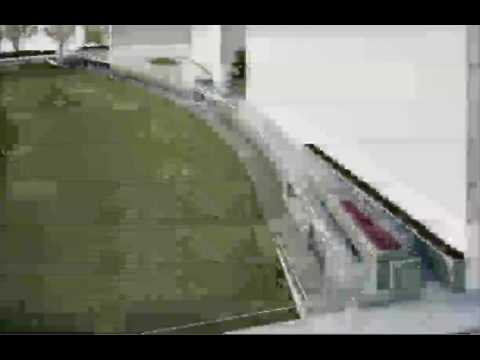 Tonal_Motion_hMa.mp4
