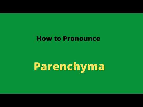 How to Pronounce Parenchyma