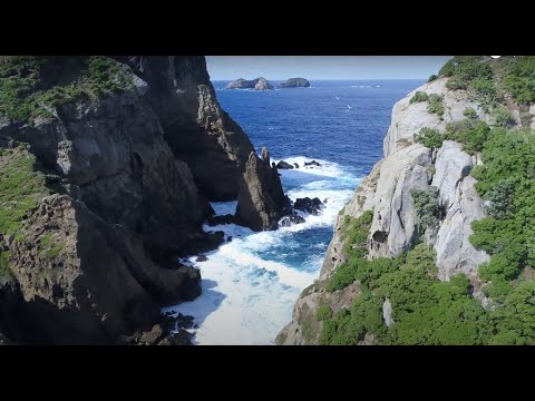 Kermadec Islands drone view. Raoul Island.