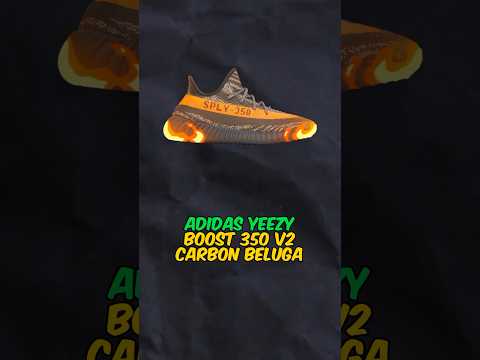 Adidas Yeezy Boosts are BACK! (350 V2 Carbon Beluga)🔥👟
