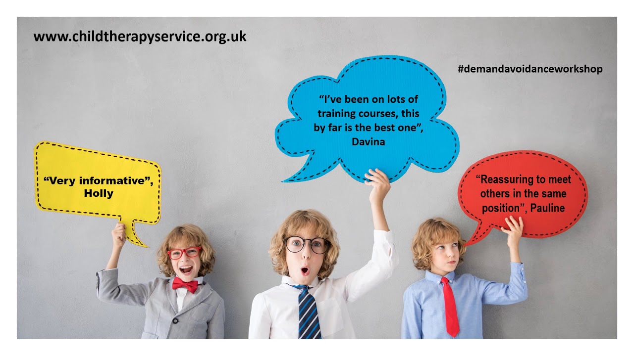 Managing Demand Avoidance Workshop - Reviews